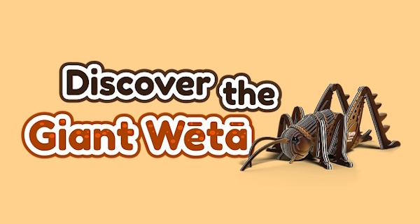 Dodoland | Bring home your wild