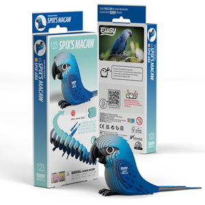 EUGY2 SPIX'S MACAW